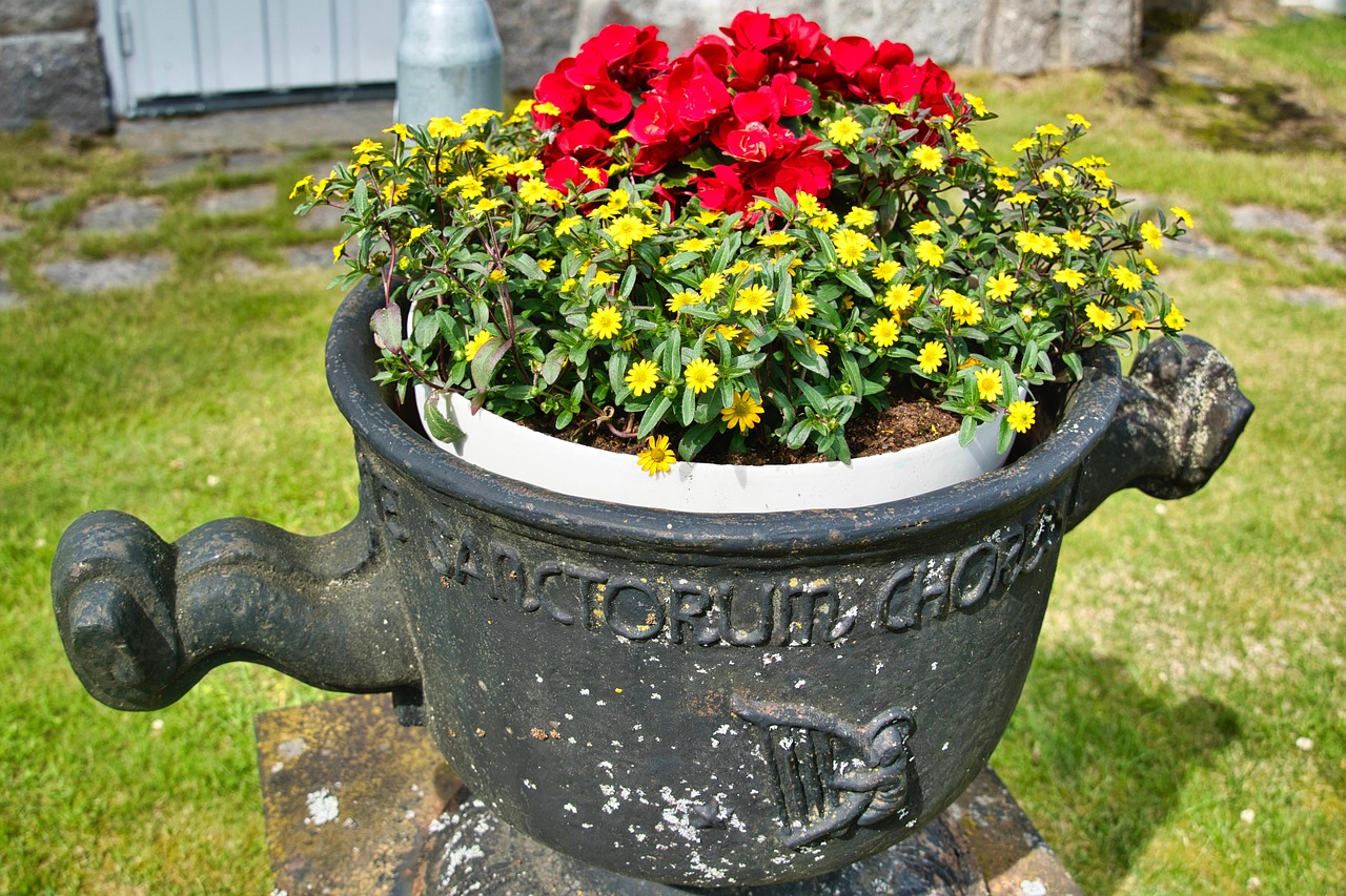 Flower Pot Flowers Potted Plant - Free photo on Pixabay - Pixabay