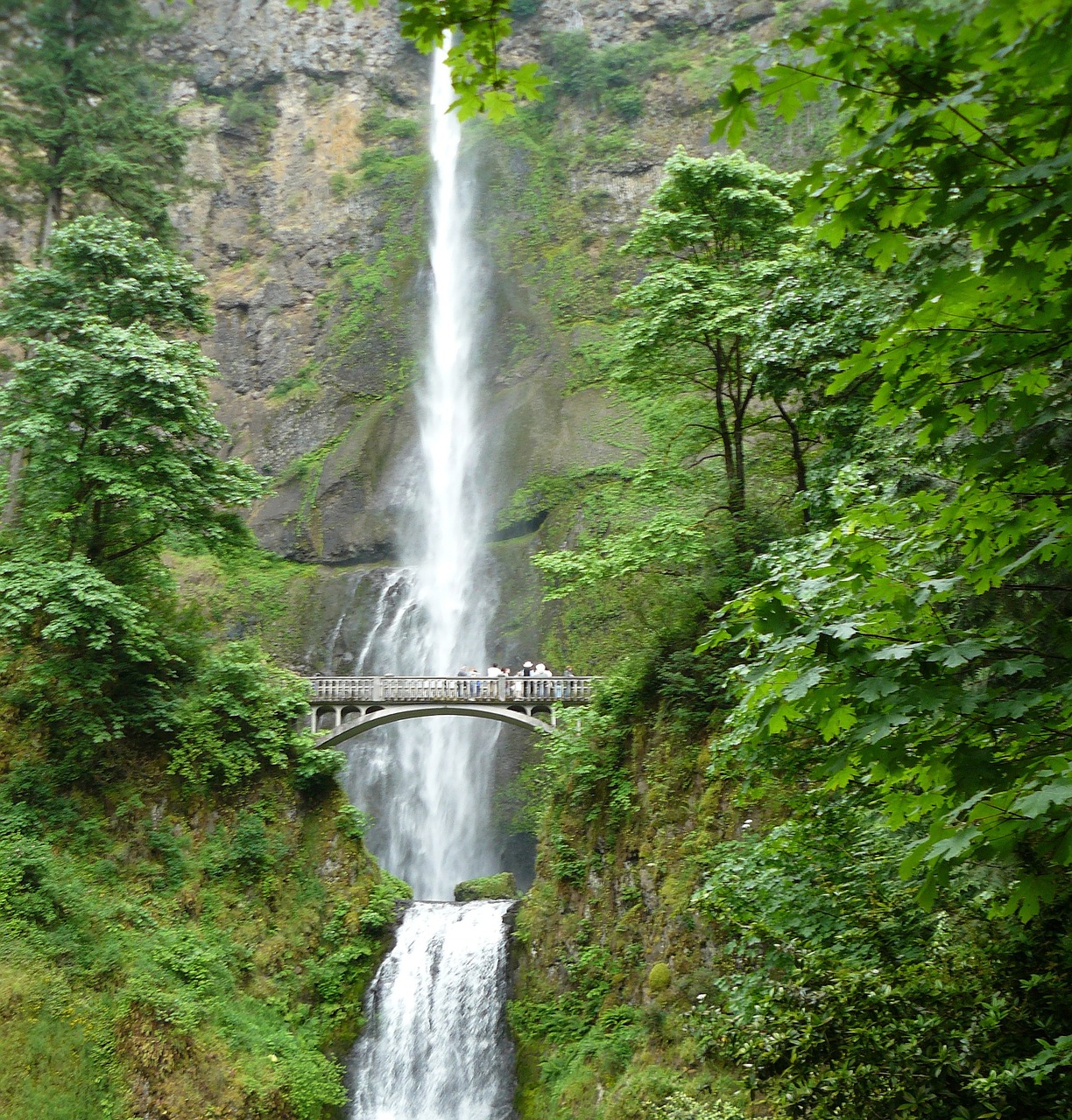 Garganta Del Río Columbia - Foto gratis en Pixabay - Pixabay