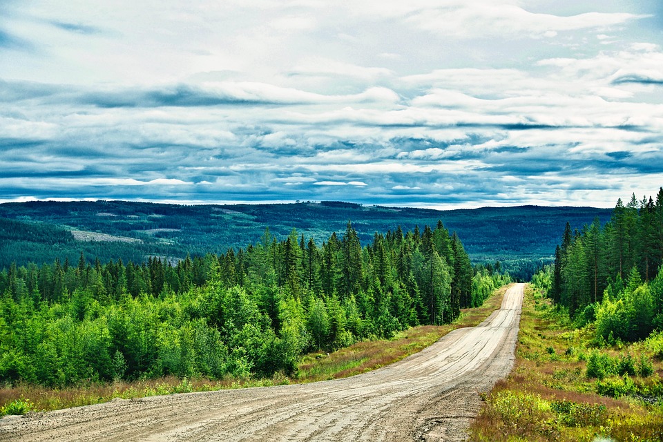 Countryside Forest Road - Free photo on Pixabay - Pixabay