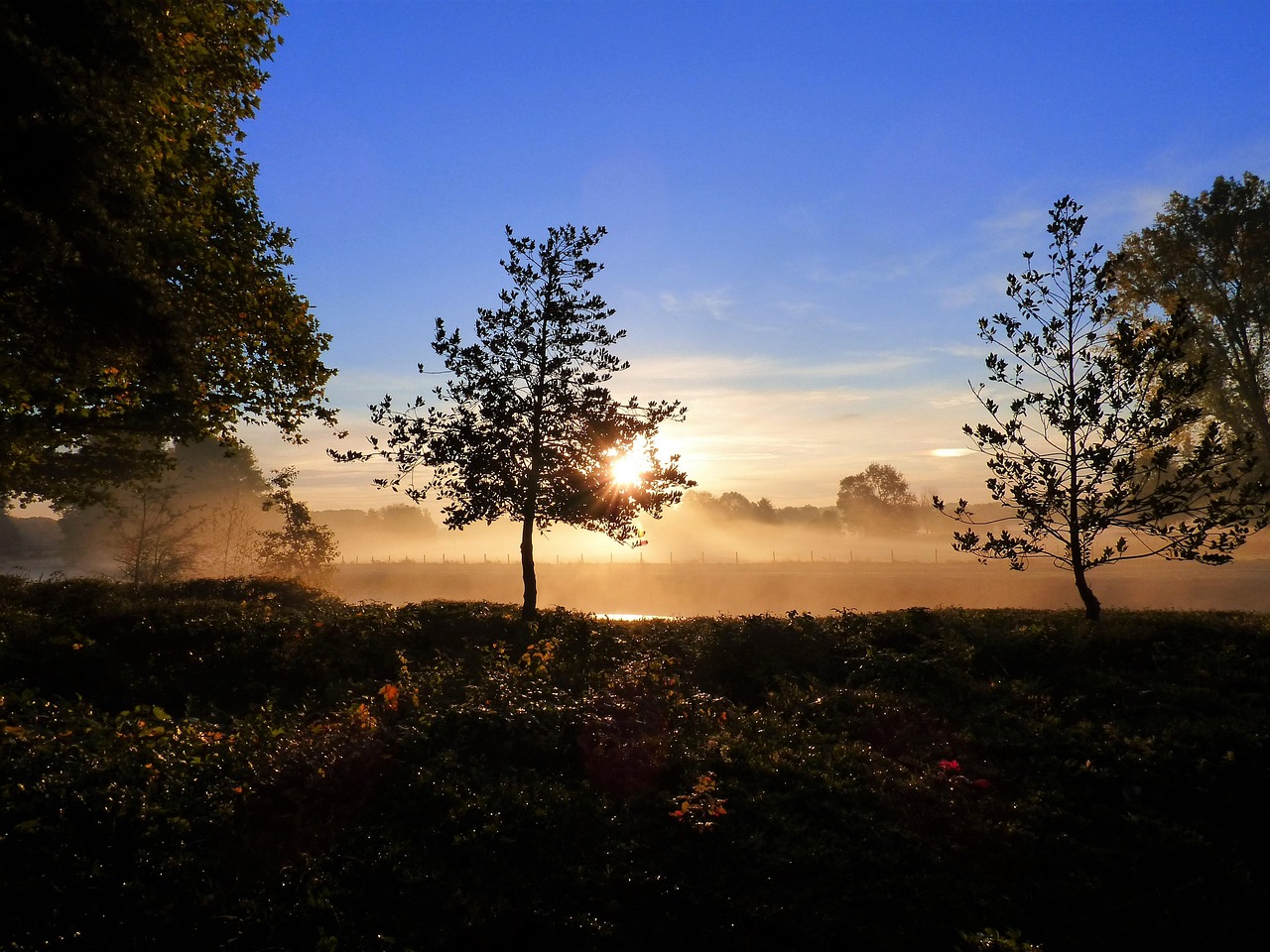 Lever Du Soleil Matin Nature - Photo gratuite sur Pixabay - Pixabay