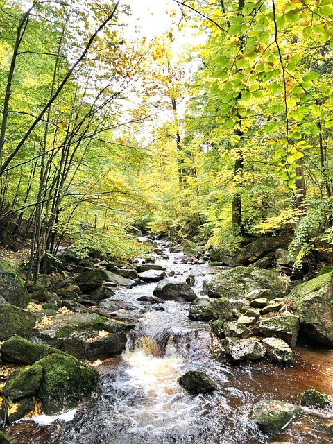 Ilsenburg Hartsi - Ilmainen valokuva Pixabayssa - Pixabay