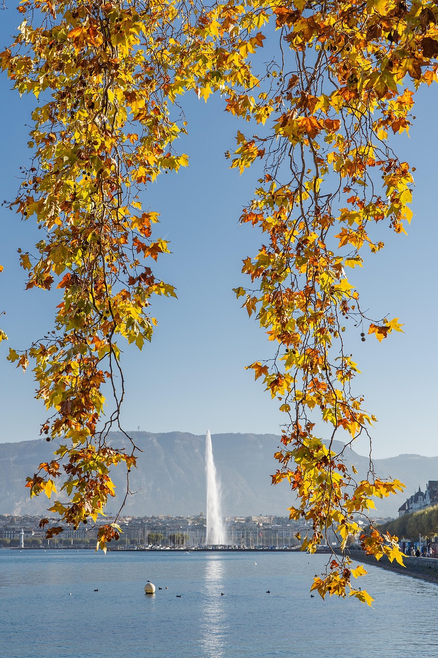 90 000 Free Lake Geneva And Geneva Images Pixabay