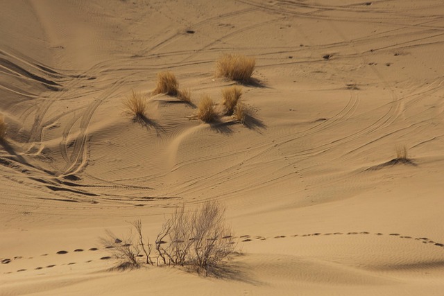 Gurun Maranjab Iran - Foto gratis di Pixabay - Pixabay