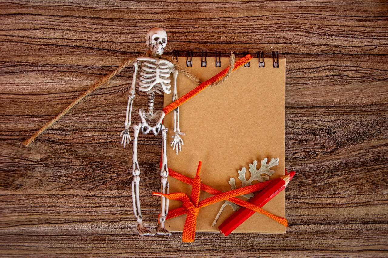 Bloc-Notes Squelette Halloween - Photo gratuite sur Pixabay - Pixabay