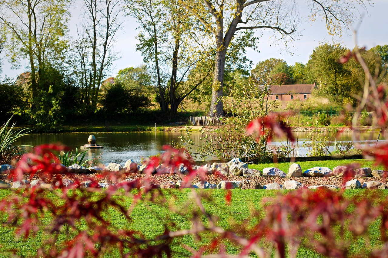 Étang Parc Nature - Photo gratuite sur Pixabay - Pixabay