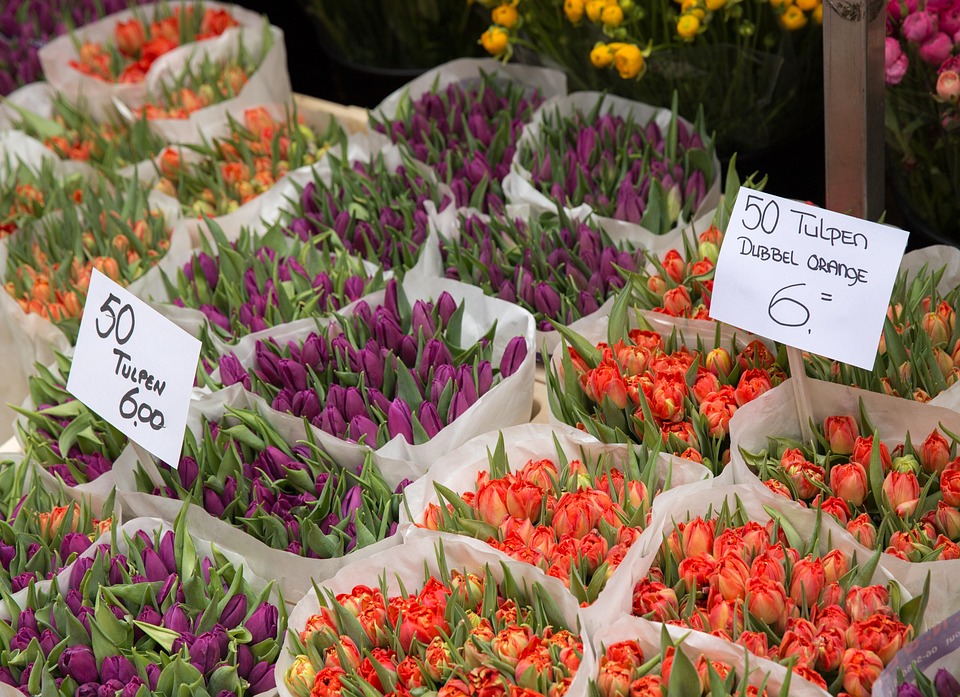 Flowers Bouquet Bulbs Bunch Of - Free photo on Pixabay - Pixabay