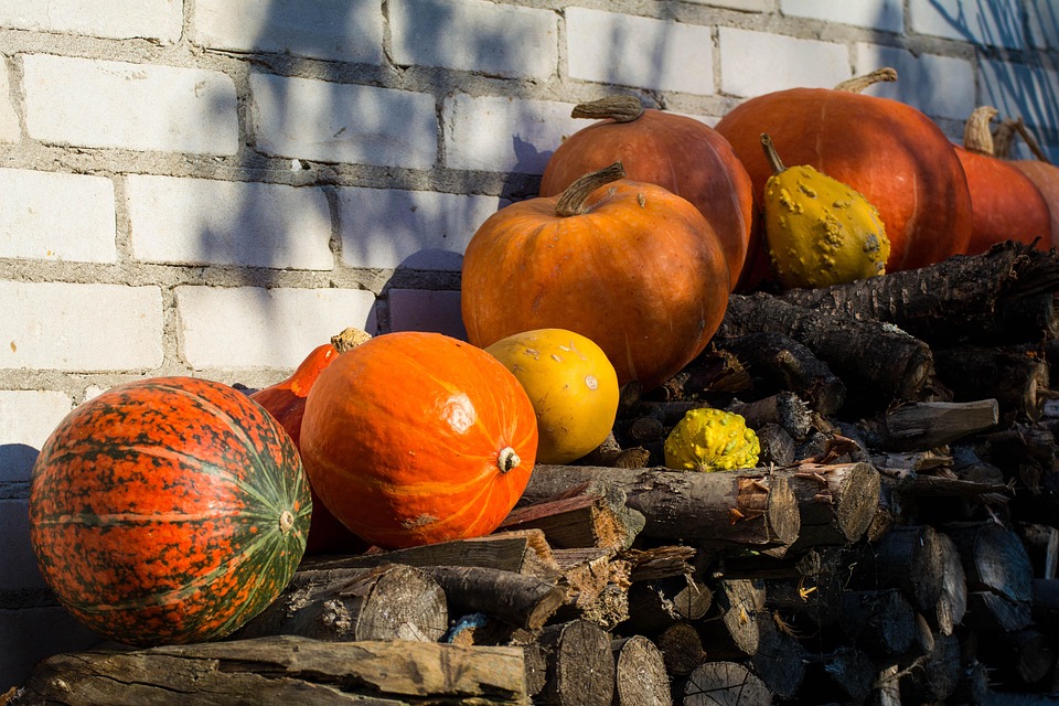 Citrouilles Automne Des - Photo gratuite sur Pixabay