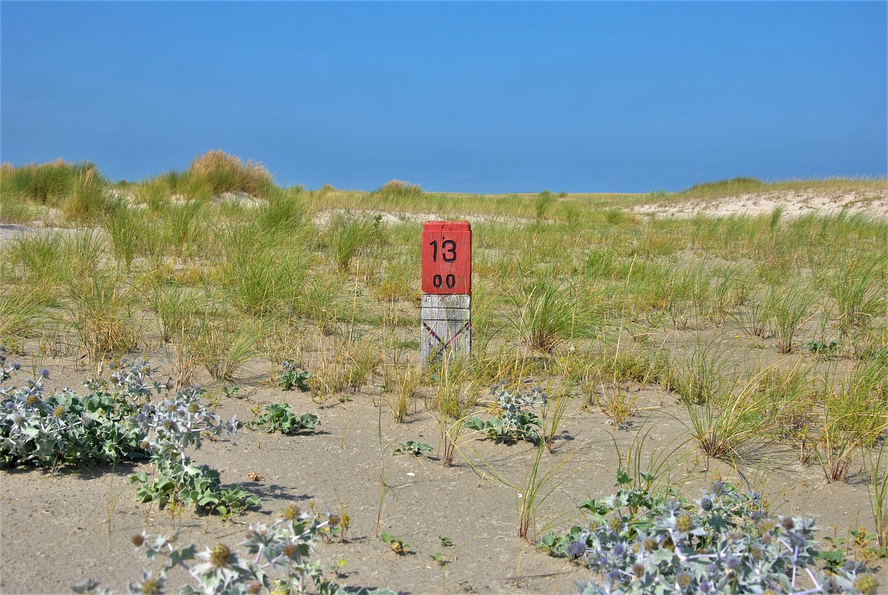 Strandoszlop Strand Tenger Holly - Ingyenes fotó a Pixabay-en - Pixabay