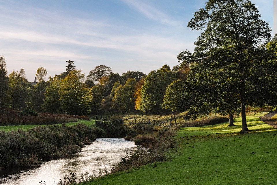River Creek Brook - Free photo on Pixabay