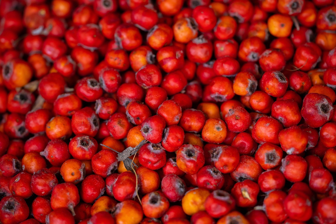 500+ Free Hawthorn & Nature Images - Pixabay
