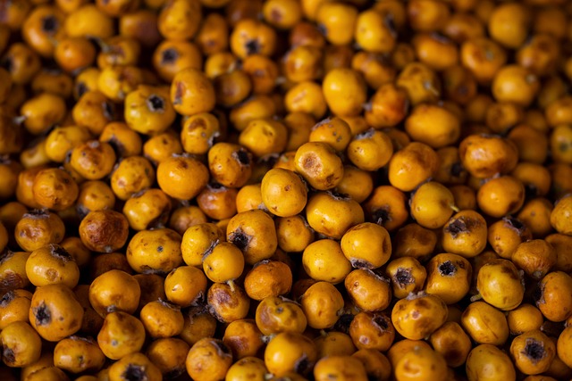 Espinheiro Alvar Fruta Orgânico - Foto gratuita no Pixabay - Pixabay