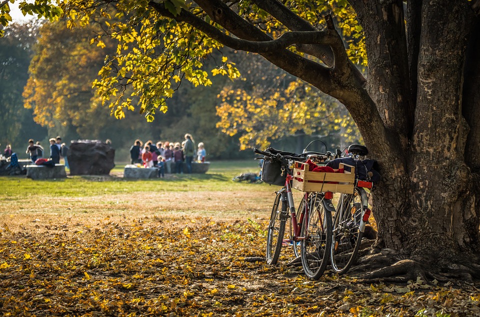 Nature Park Bicycle - Free photo on Pixabay