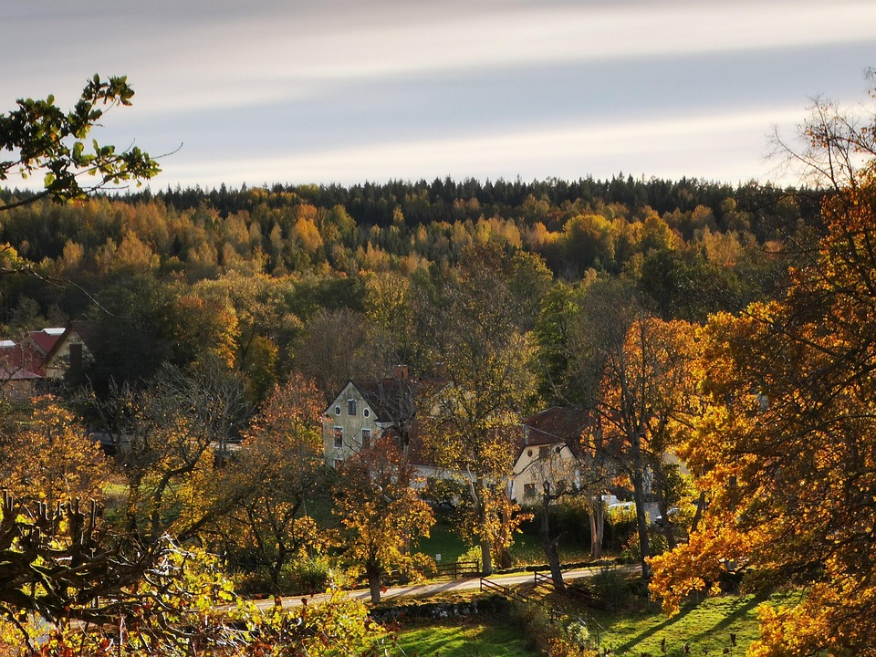 Höstbilder Autumn Leaves Sweden - Gratis foto på Pixabay - Pixabay