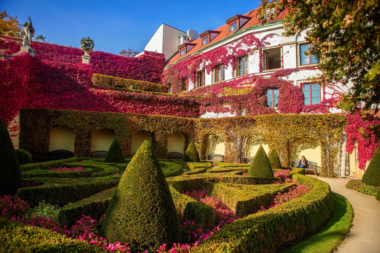 Jardin Parc Nature - Photo gratuite sur Pixabay - Pixabay