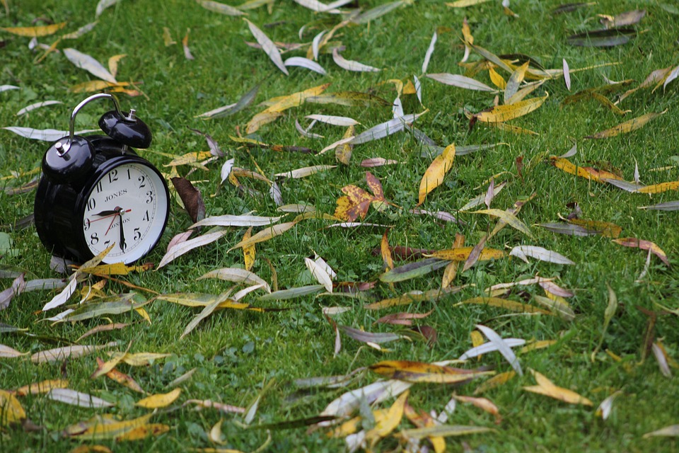 Clock Time Autumn - Free photo on Pixabay