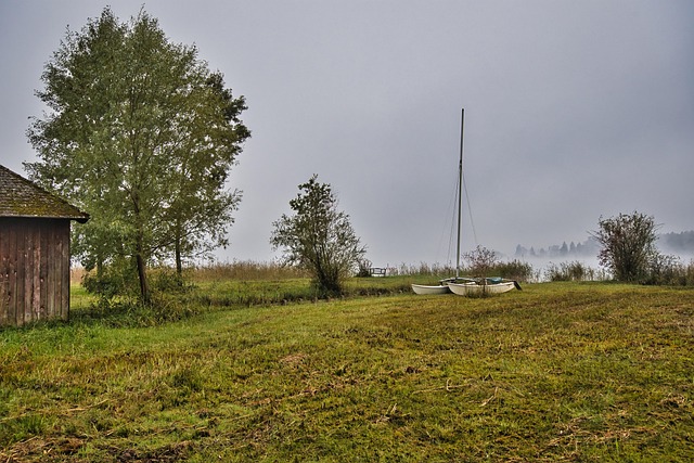 Luonne Maaseutu Sumu - Ilmainen valokuva Pixabayssa - Pixabay