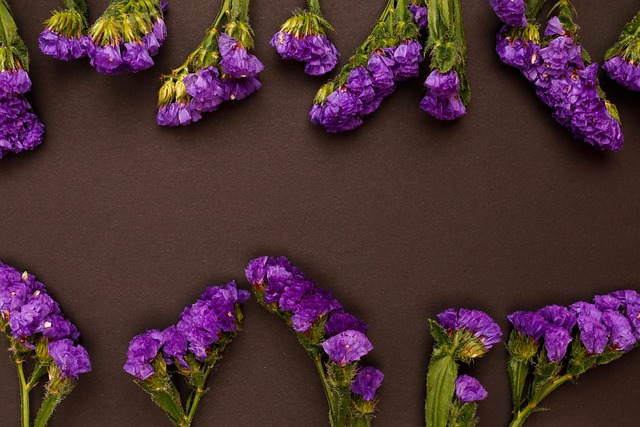 40,000+ Free Static Wallpaper & Background Photos - Pixabay