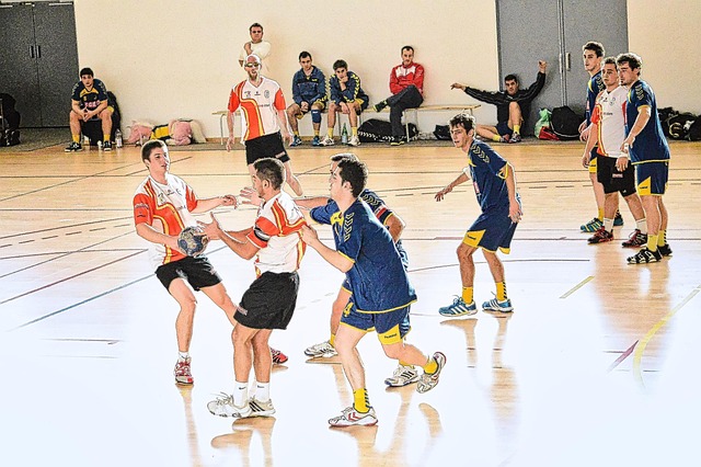 Handball Tindakan Menyerang - Foto gratis di Pixabay - Pixabay