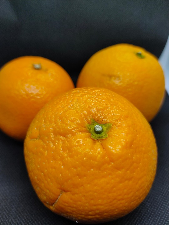 Fruit Orange - Photo gratuite sur Pixabay - Pixabay