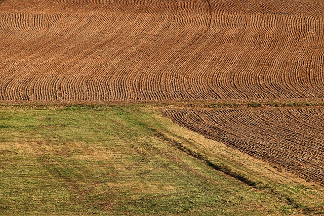 10,000+ Free Farmland Land & Farmland Images - Pixabay