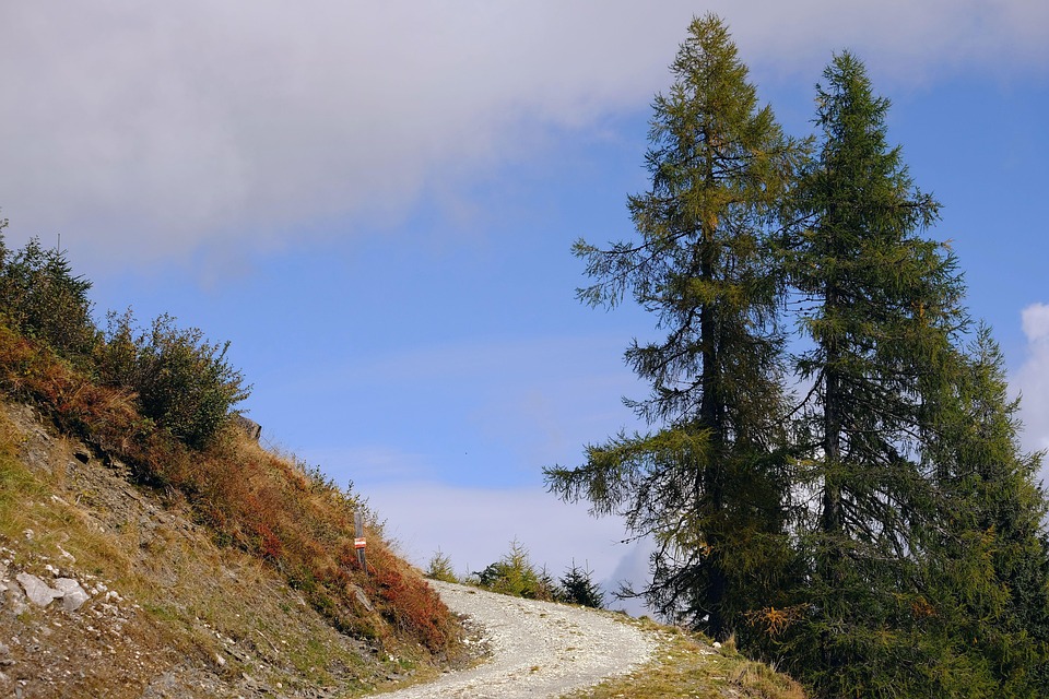 Pfad Berg Weg - Kostenloses Foto auf Pixabay