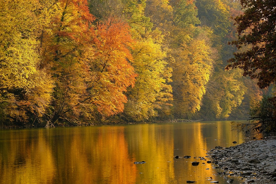 River Autumn Forest - Free photo on Pixabay
