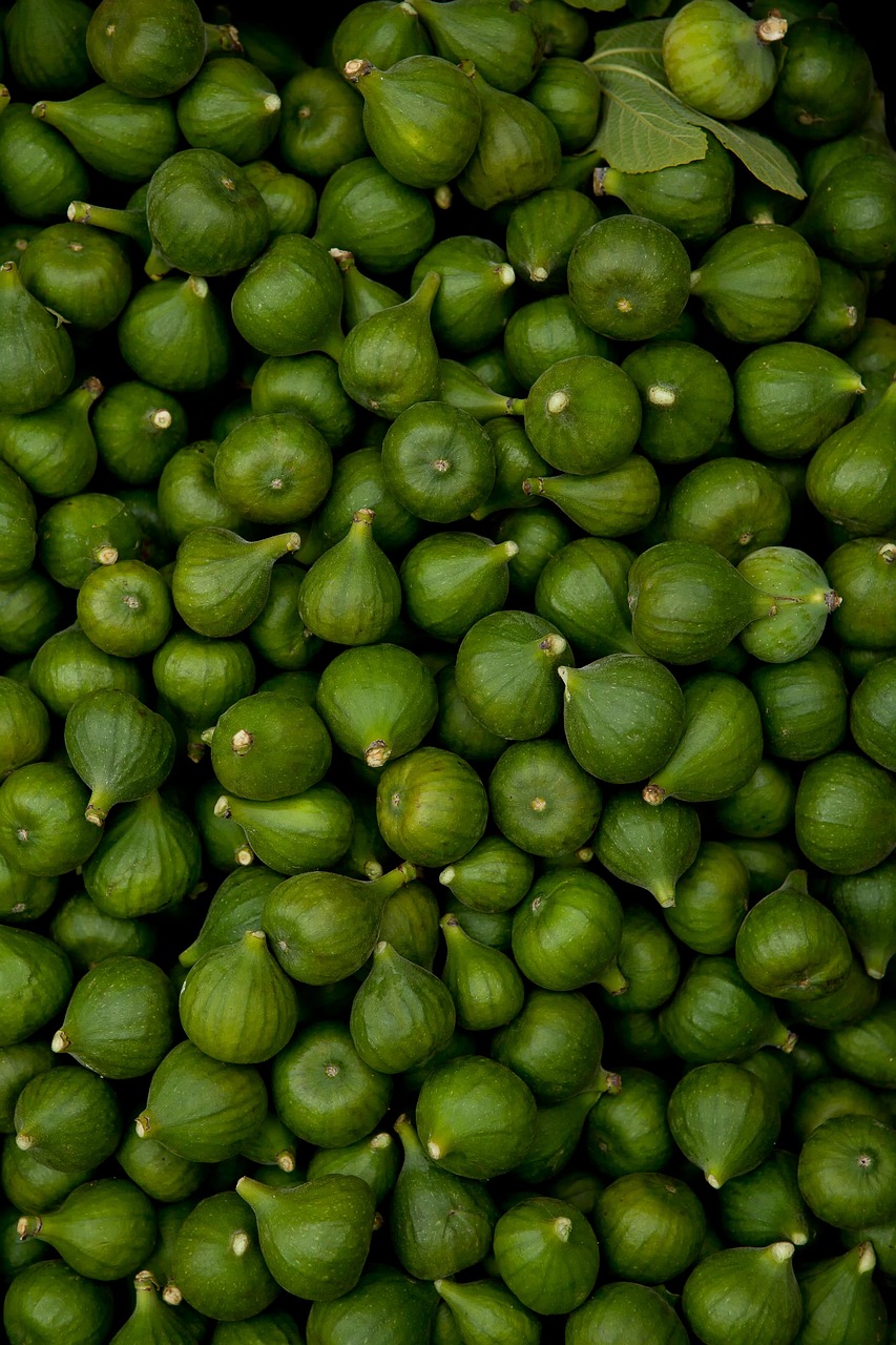 Des Fruits Figues - Photo gratuite sur Pixabay - Pixabay