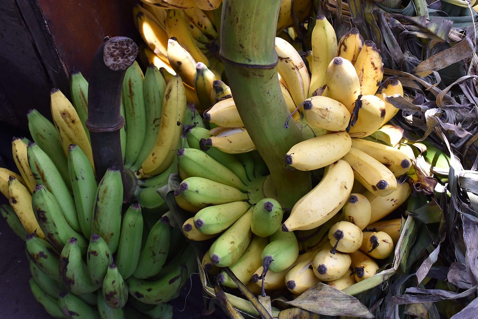 Plátano Frutas Produce - Foto gratis en Pixabay - Pixabay