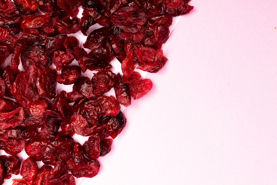 Fruta Oxicoco Frutos Secos - Foto gratuita no Pixabay - Pixabay