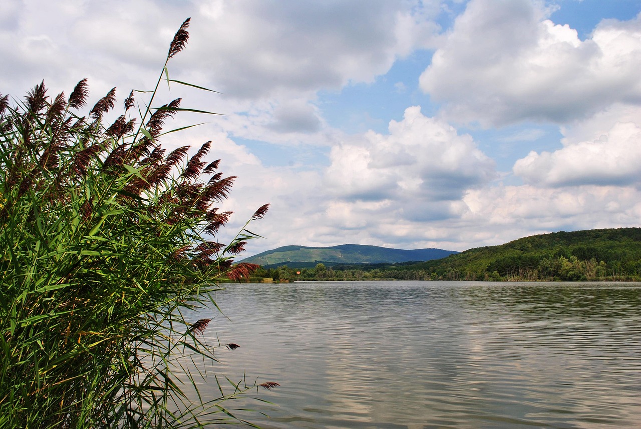 Lake Water Nature - Free photo on Pixabay - Pixabay