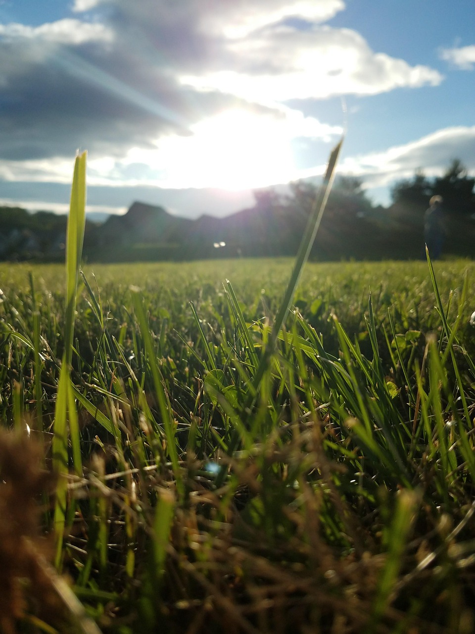 Rumput Lapangan Lanskap Cahaya - Foto gratis di Pixabay - Pixabay Rumput Lapangan Lanskap Cahaya - Foto gratis di Pixabay - Pixabay