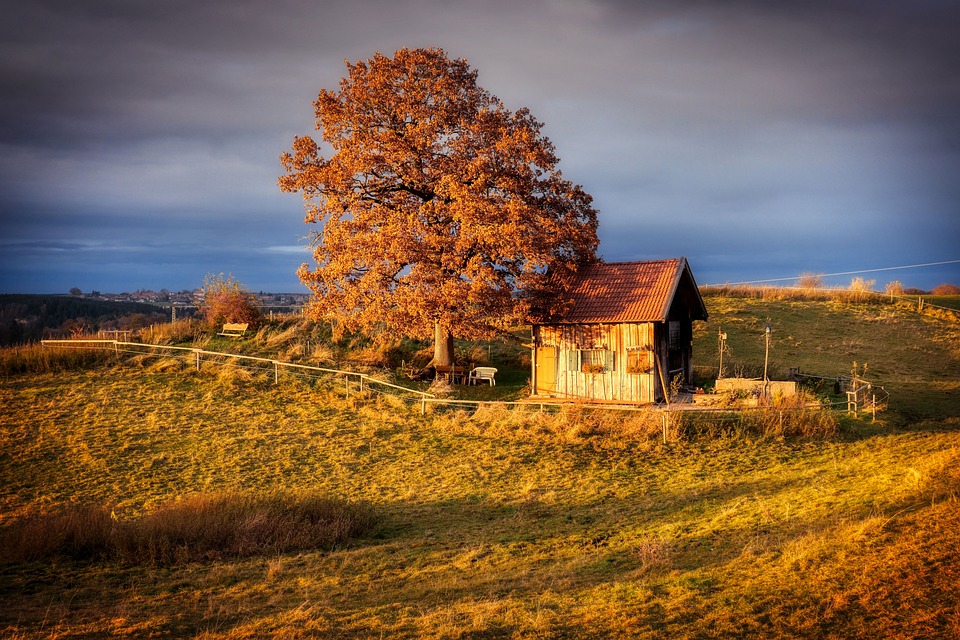 Nature Countryside Autumn - Free photo on Pixabay