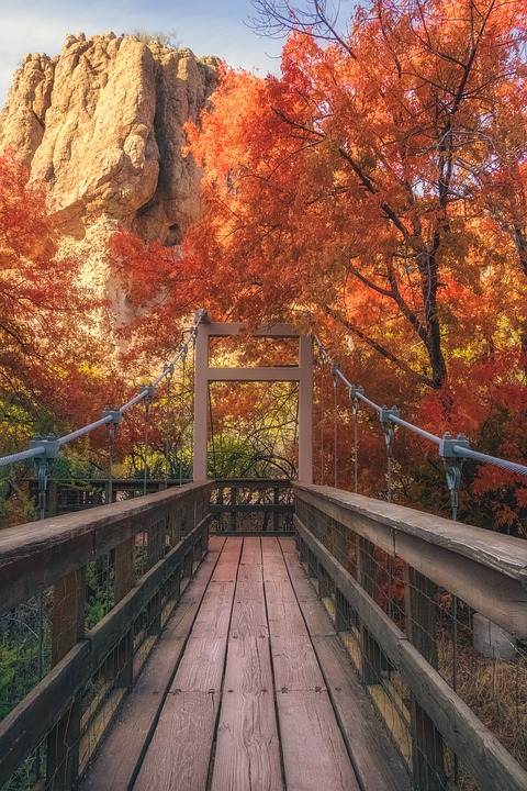 Bridge Nature Autumn - Free photo on Pixabay - Pixabay