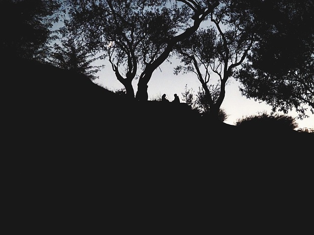 爱情 野餐 夜 - Pixabay上的免费照片 - Pixabay