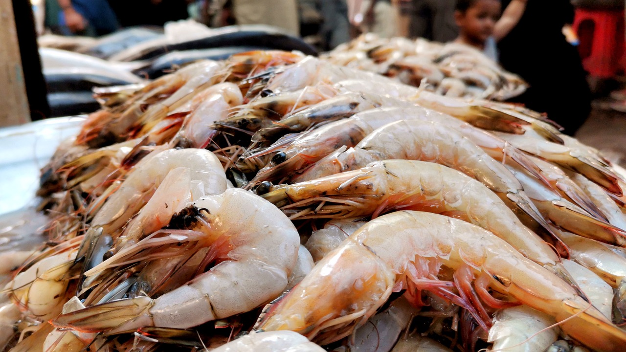 Gamba Camarón Fruto De Mar - Foto gratis en Pixabay - Pixabay