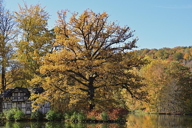Fall Park Lake - Free photo on Pixabay