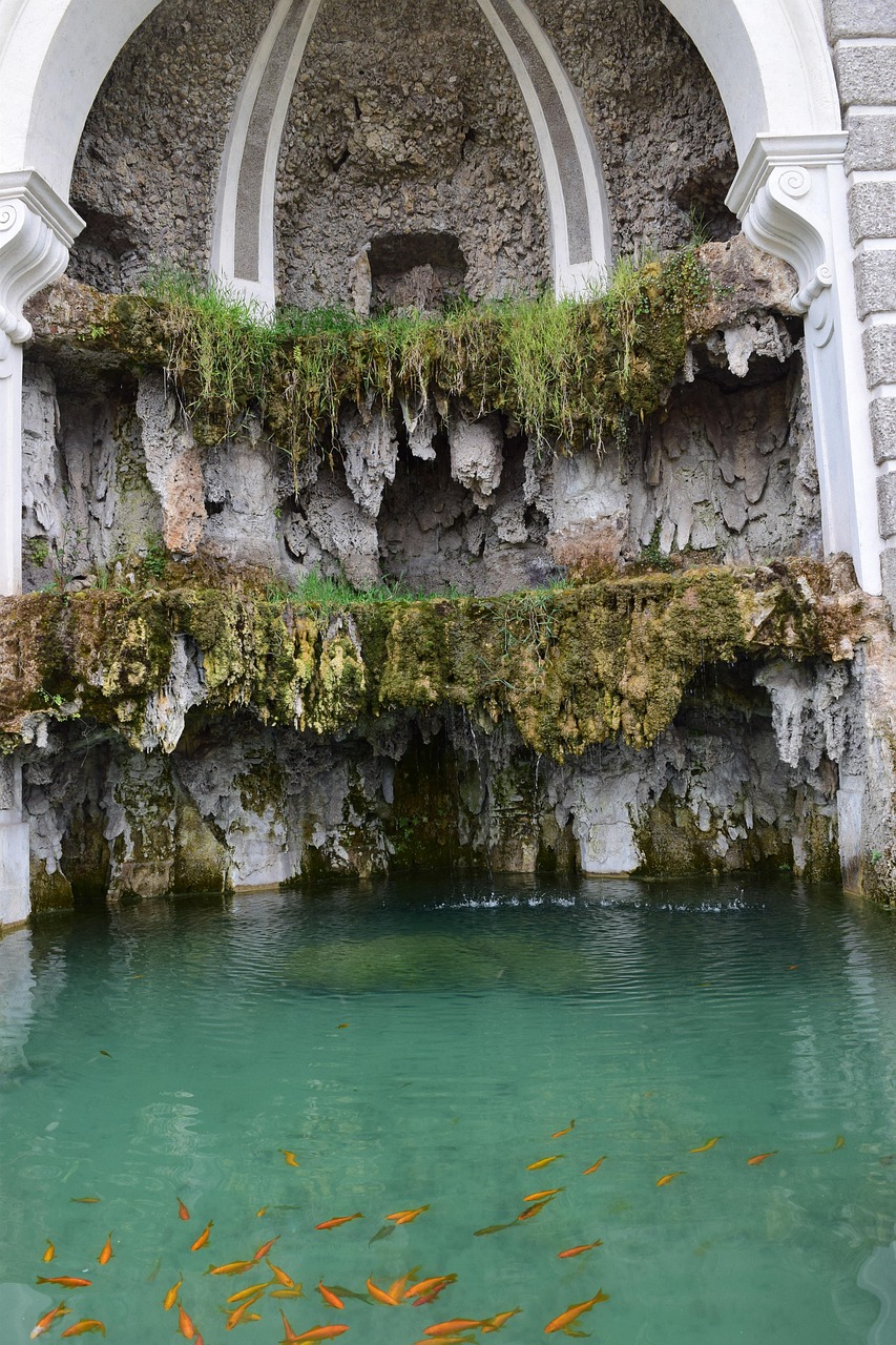La Source Eau Poisson - Photo gratuite sur Pixabay - Pixabay
