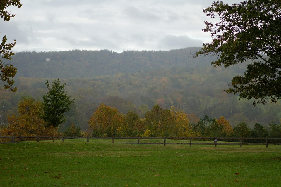 Mountains Pasture Trees - Free photo on Pixabay