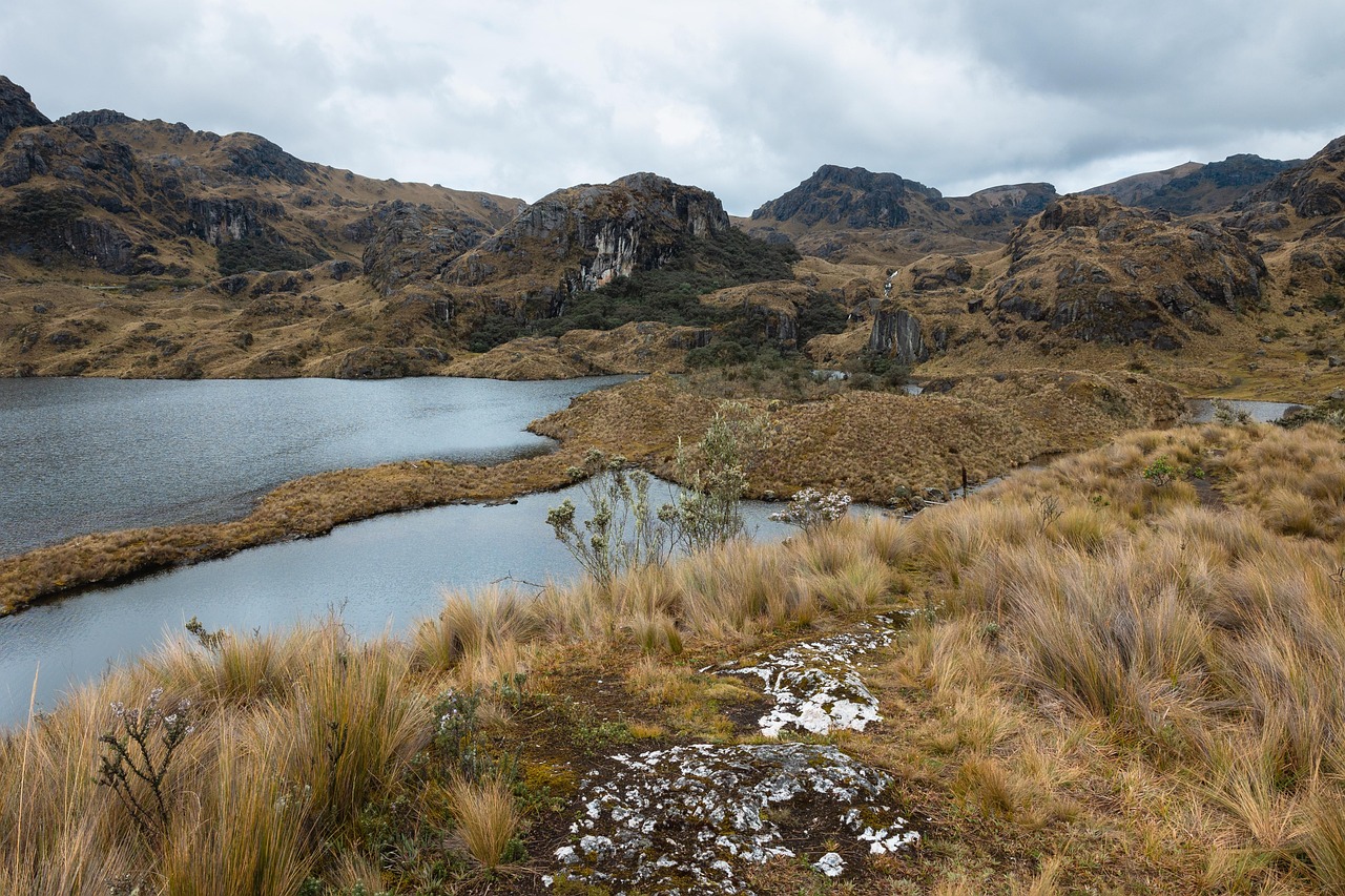 Más de 200 imágenes gratis de Paisaje Ecuador y Ecuador - Pixabay