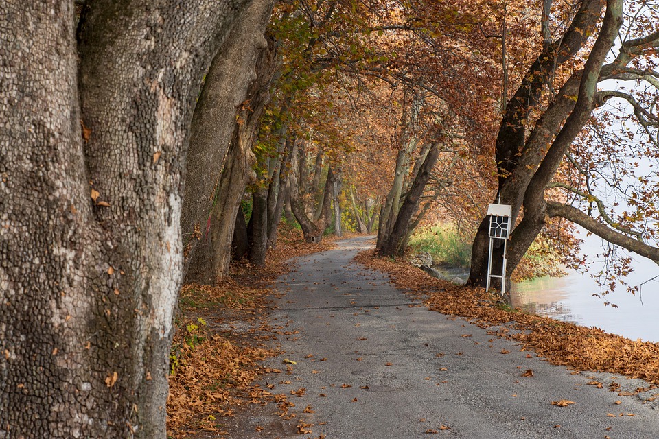 Greece Road Autumn - Free photo on Pixabay