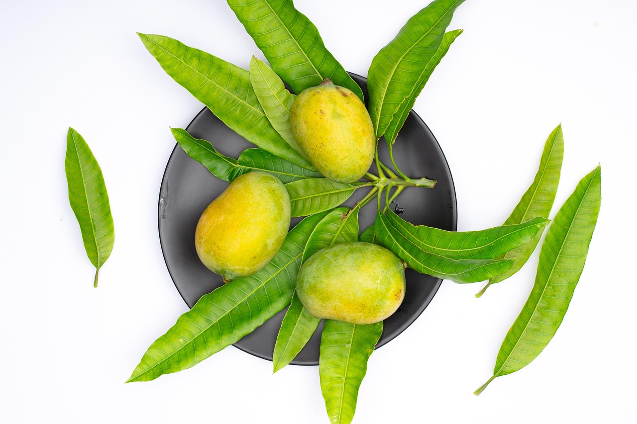 900+ Free Mango & Mango Tree Images - Pixabay