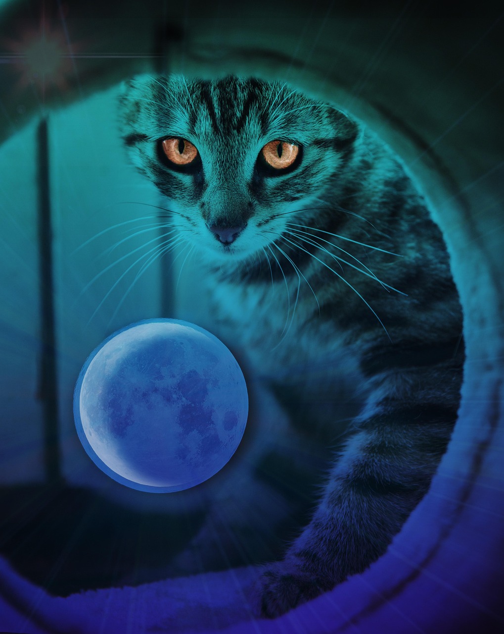 Manipulation Free Photo On Pixabay Pixabay