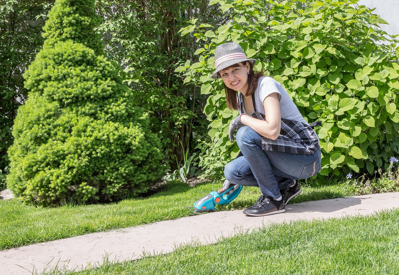 400,000+ Free Backyard Background & Backyard Images - Pixabay
