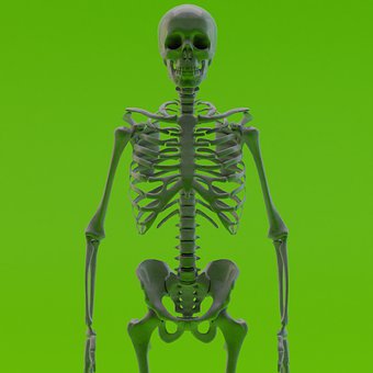 3+ Free Skull Green Screen & Green Screen Images - Pixabay