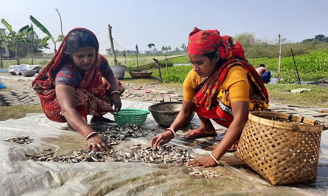 20 000+ kostnadsfria bilder med Countryside Women och Landsbygden - Pixabay