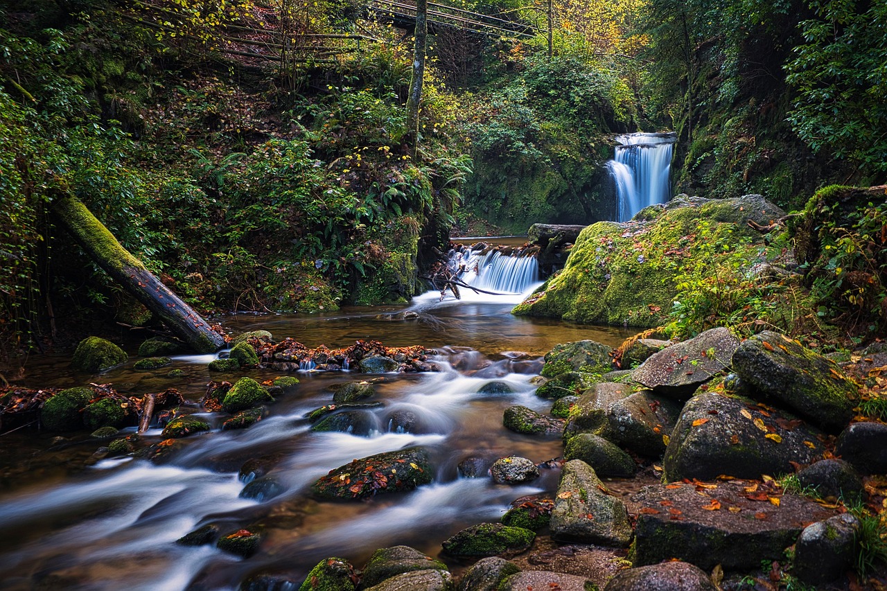 Waterfall River Nature - Free photo on Pixabay