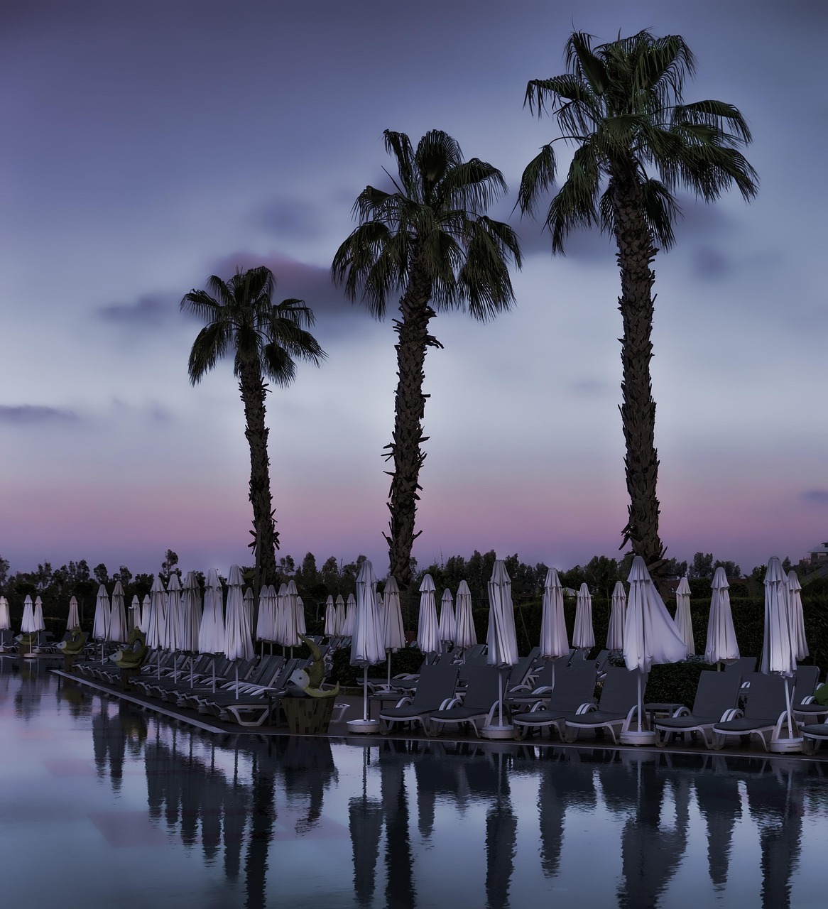 Sun Loungers Sundown Resort - Free photo on Pixabay - Pixabay