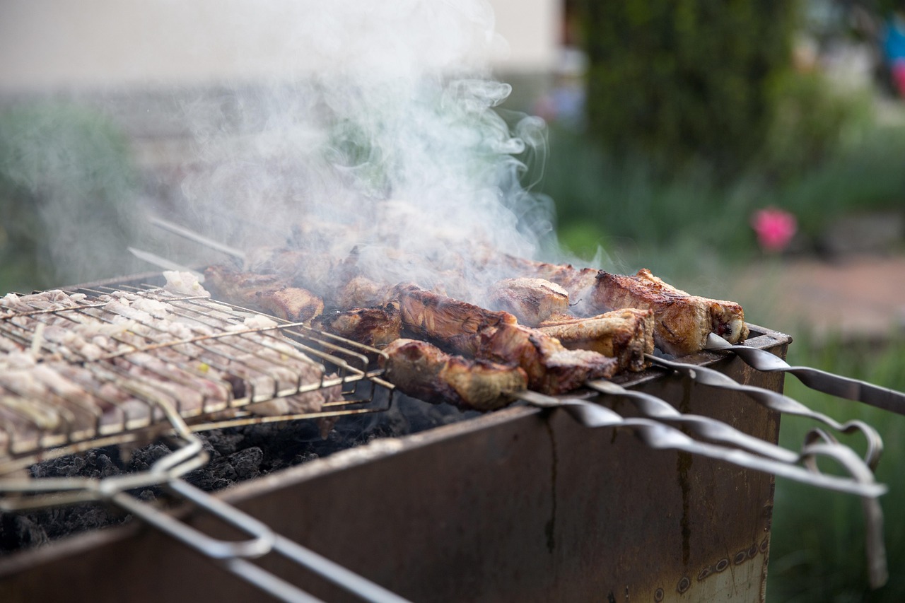 3,000+ Free Grilling & Grill Images - Pixabay