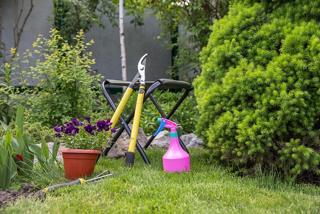 Gardening Backyard Tools - Free photo on Pixabay