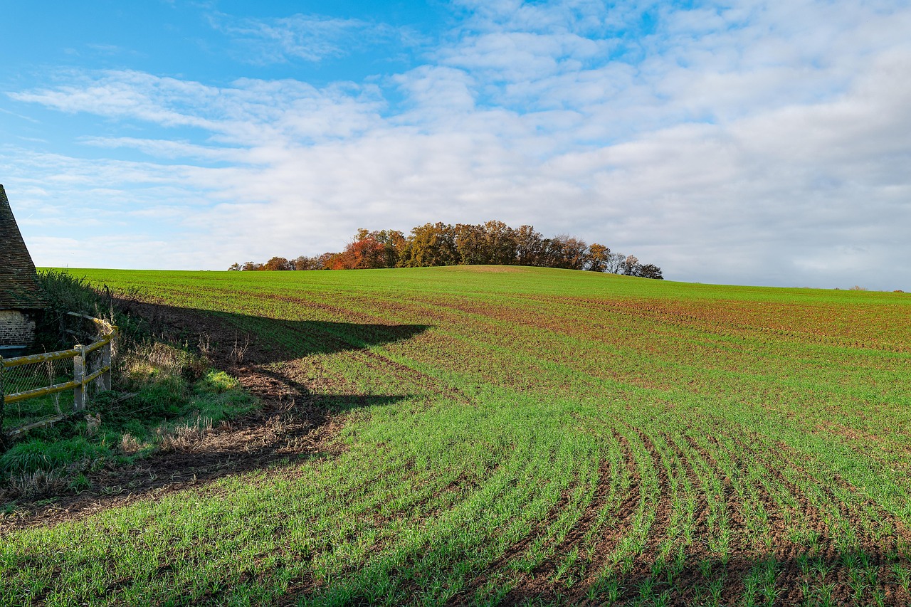 Field Farmland Agriculture - Free photo on Pixabay - Pixabay